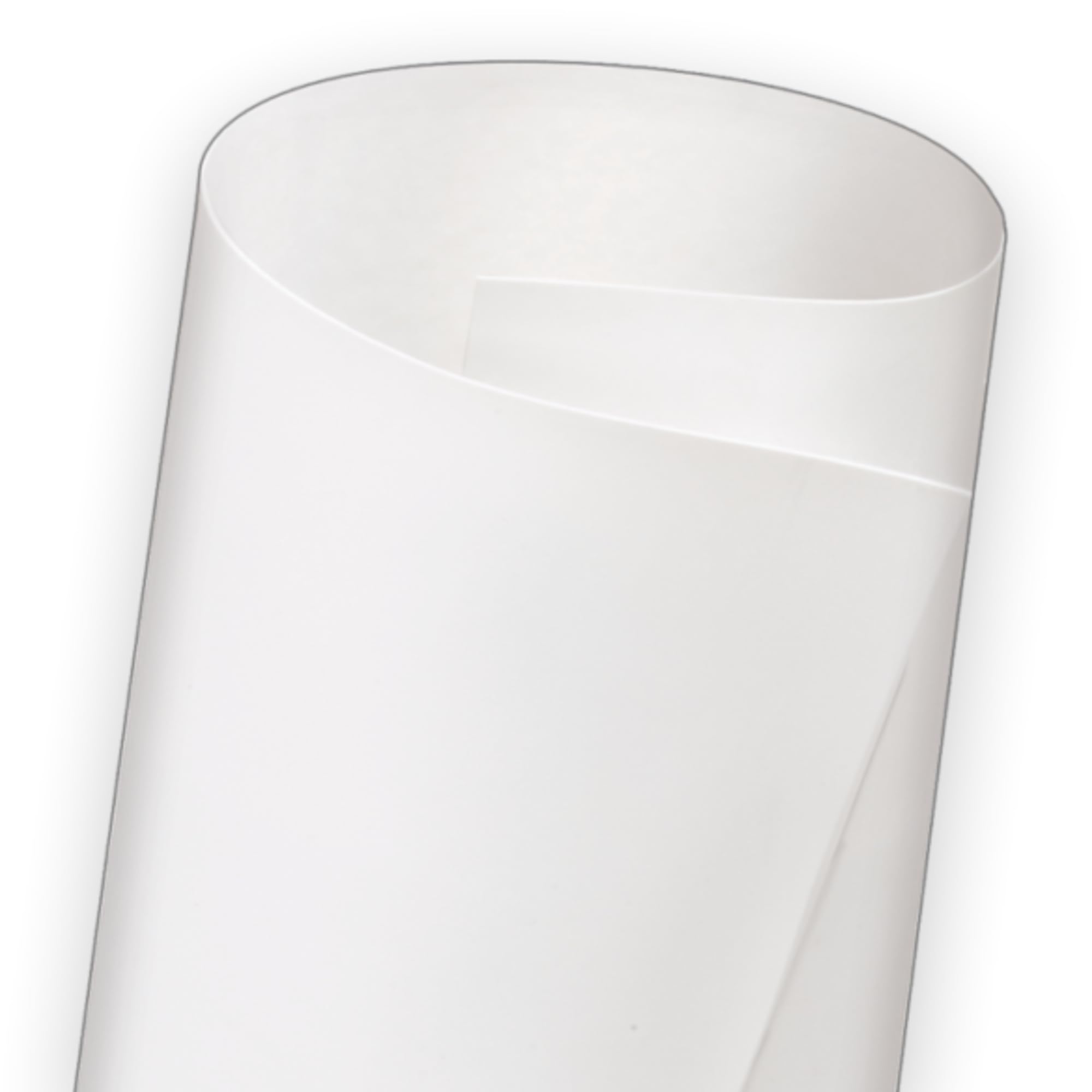 Dicor DFII95D-40 DIFlex II TPO Sun-Ray Defiant RV Roofing Membrane ...