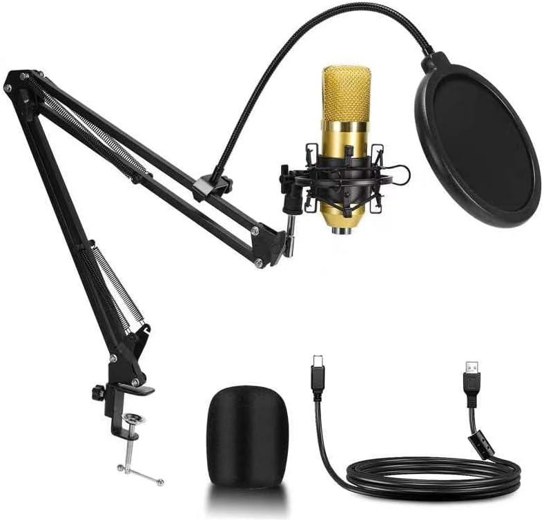 Amazon.com: ZINGYOU Condenser Microphone Computer Mic ZY-007 Recording ...