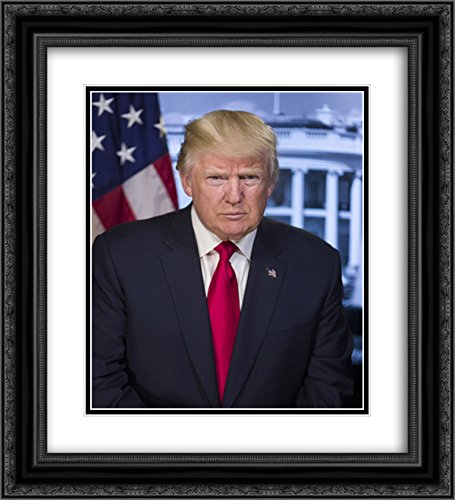 Amazon.com: Official Portrait of President Donald Trump 20x24 Double ...