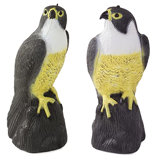 Fake Falcon Scarecrow Bird Bollard Scares Garden Pigeons – BigaMart