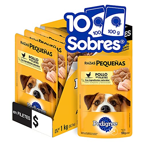 Los 10 Mejores Modelos De Natdog