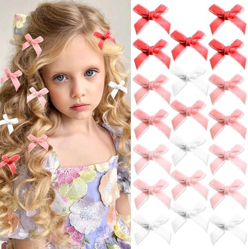 Amazon.com : Mini Hair Bows for Women Girls Cute Hair Clips Small ...