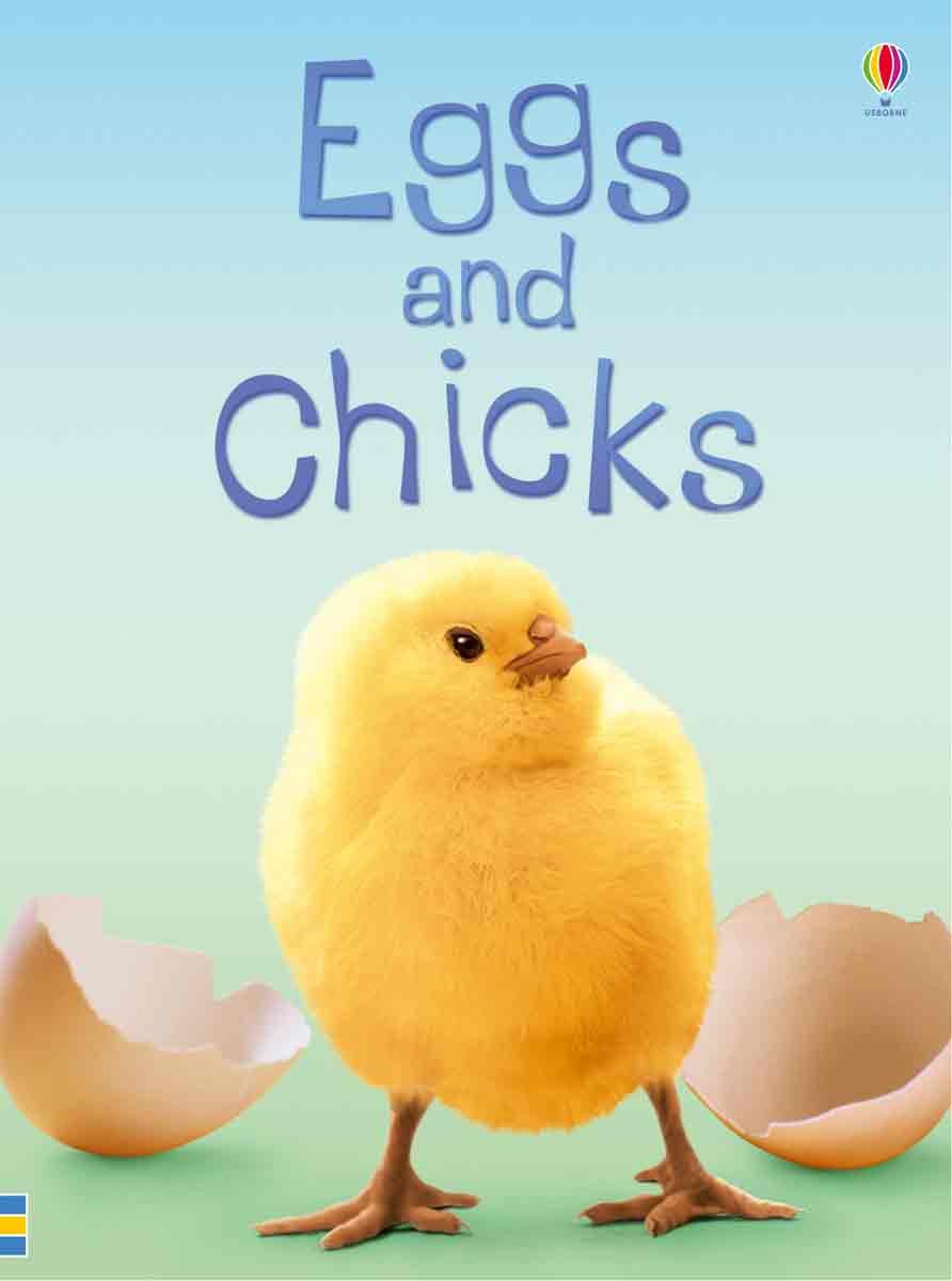 Amazon.com: Eggs and Chicks (Beginners Nature, Level 1): 9780794513429 ...