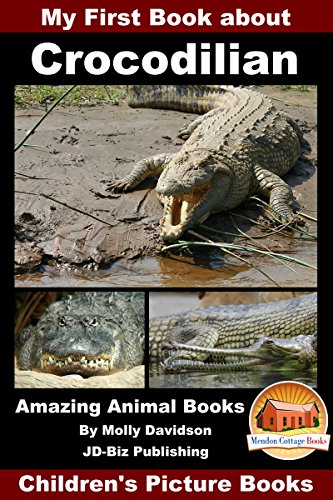 My First Book about Crocodilian - Amazing Animal Books - Children's ...