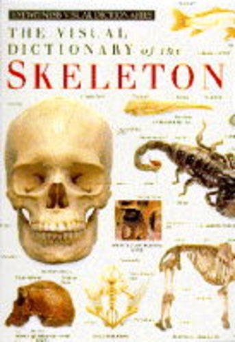 Eyewitness Visual Dictionary: 17 Skeleton (DK Eyewitness Visual ...