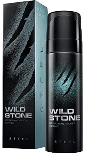 Amazon.com: Wild Stone Steel Body Spray - For Men (120 ml) : Beauty ...