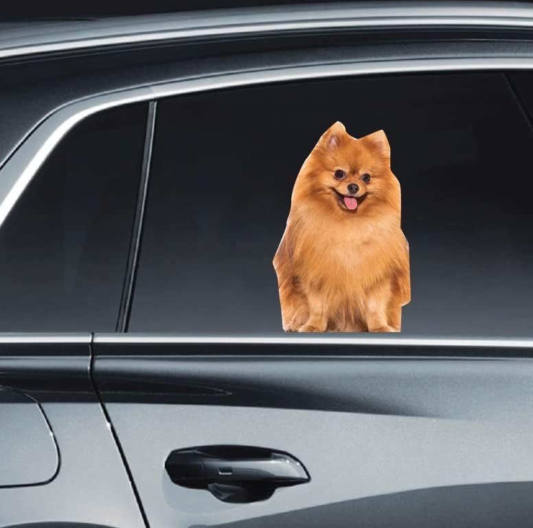 Amazon.com: Dog Car Window Decal Funny 3D Dog Decals for Any Smooth ...