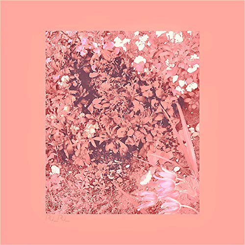 I'm Okay, Really by Ru_ru_ on Amazon Music Unlimited