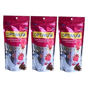 Optimums Highly Nutritious Fish Food for All Aquarium Fish, 100gm (10 ...