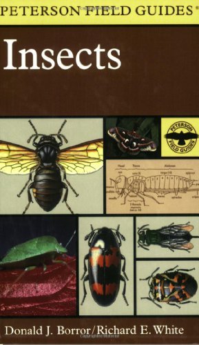 Field Guide to Insects (Peterson Field Guides) by Donald J. Borror ...