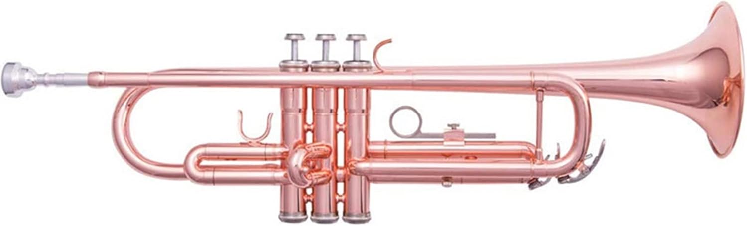 Amazon.com - TSTS Brass Instrument B Flat Trumpet Instrument Surface ...