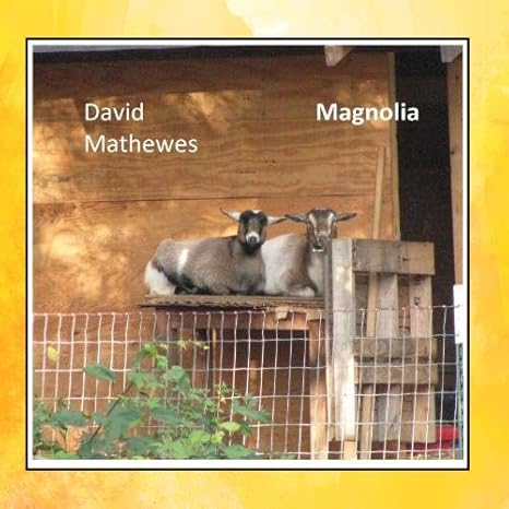 Amazon.com: Magnolia: CDs & Vinyl