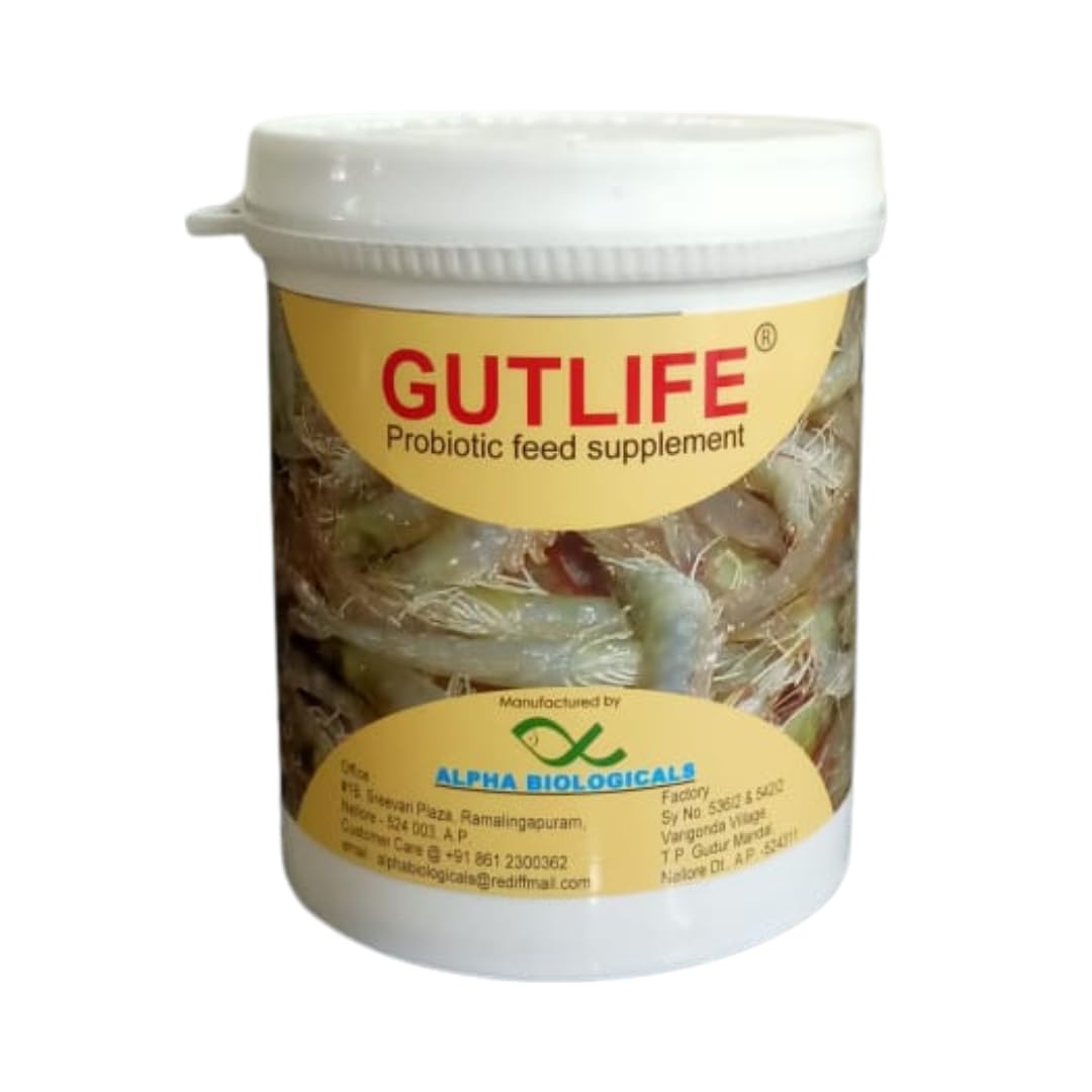 Probiotic Feed Supplement for Shrimp Farming, Prawn, & Aquatic Animals ...