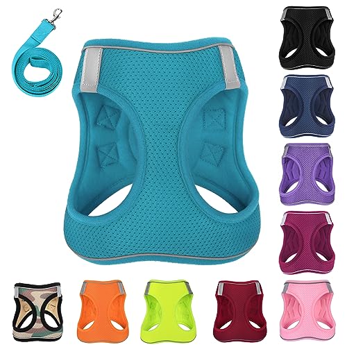 The Ultimate Guide to Finding the Perfect Turquoise Dog Harness: Top 10 ...