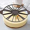 Amazon.com: Cake Divider Cutter Slicer 10 12 Piece Bread Equal Portion ...