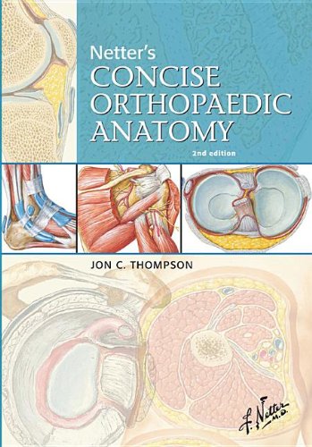 Netter's Concise Orthopaedic Anatomy : Amazon.it: Libri
