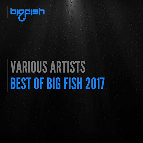Play Best of Big Fish 2017 by VARIOUS ARTISTS on Amazon Music