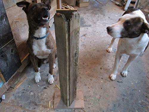 Amazon.com: Wood DOG PEE POST weathered wood.3 sides.27 in tall ...