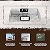 Rugged Ranch Ratinator No Poison, Multi-Catch Live Animal Rat Catch and ...