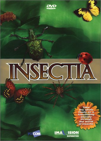 Amazon.com: Insectia [DVD] : Georges Brossard, German Gutierrez, Denis ...