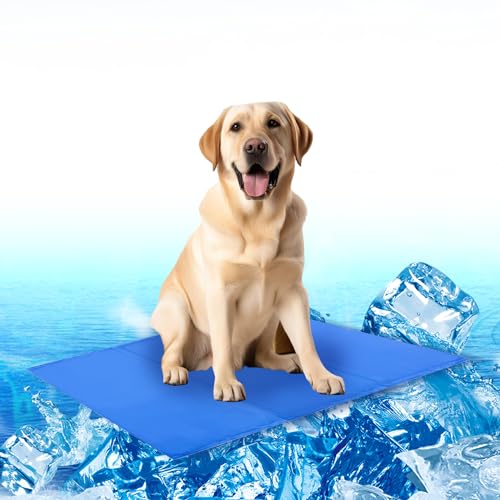 Cool Pad dla psów — porównanie 15 najlepszych produktów — Wild Poradnik