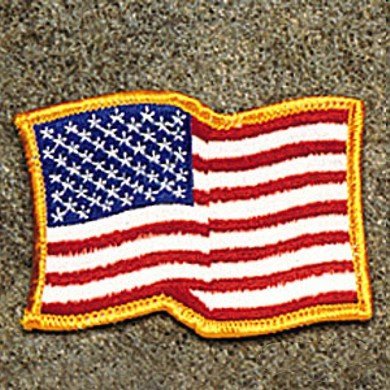 Amazon.com: USA America Flag Waving - Gold Border Patch : Clothing ...