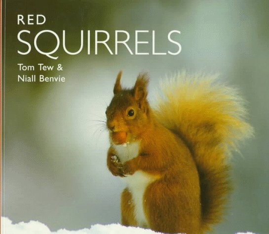 Red Squirrels: Tew, Tom, Benvie, Niall: 9781900455244: Amazon.com: Books