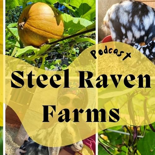 Steel Raven Farms : Steel Raven Farms: Amazon.in: Audible Books & Originals