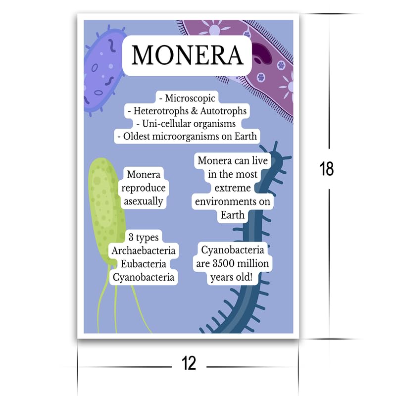 Types Of Monera