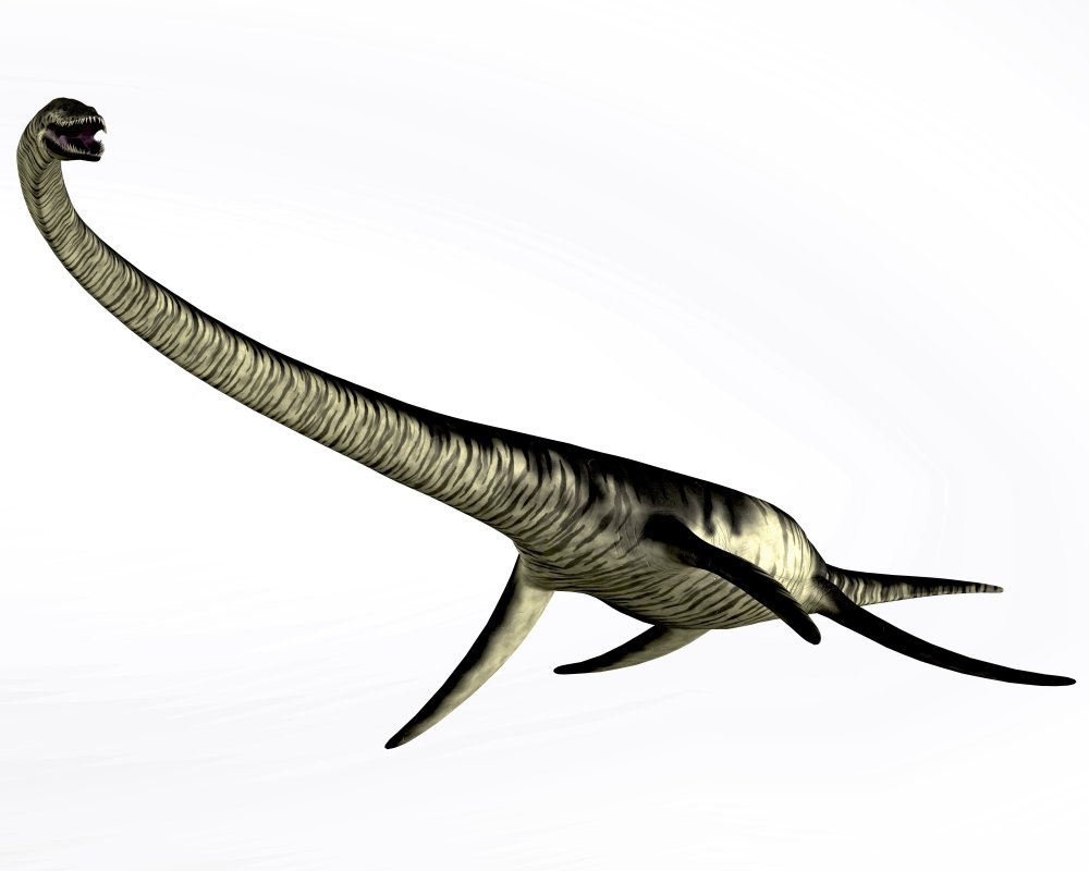 Elasmosaurus Size