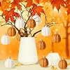 Amazon.com: 16 Pcs Fall Thanksgiving Pumpkin Hanging Ornaments- 2.2" x ...
