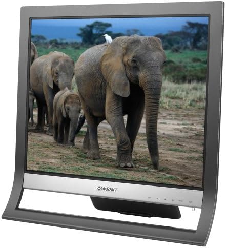 Amazon.com: Sony SDM-HS75/B 17" LCD Monitor (Black) : Electronics