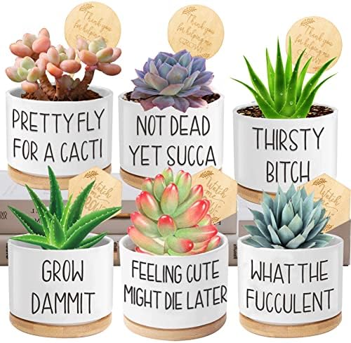 Amazon.com: Lasimfa Funny Succulents Plant Pots, Set of 2, Small ...