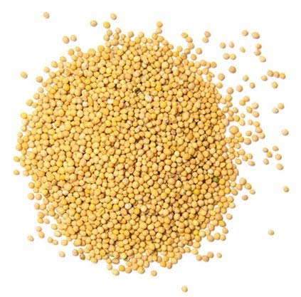 Amazon.com : Pmw® - White/Yellow Mustard Seeds - Safed PILI Sarson 500 ...