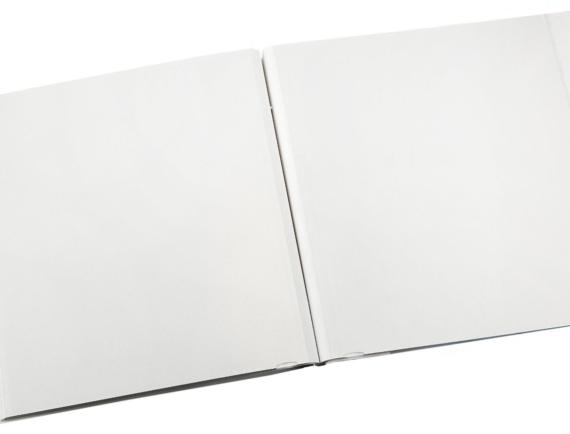 Amazon.co.jp: ナカバヤシ フエルアルバム Lサイズ グレース ア-LS-501