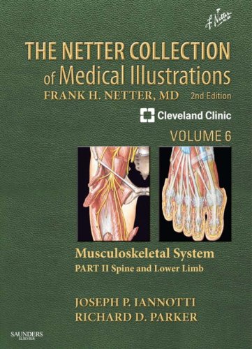 Amazon.com: The Netter Collection of Medical Illustrations ...