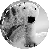 【発売日：2017年02月13日】・製造元:Different Is Different Records