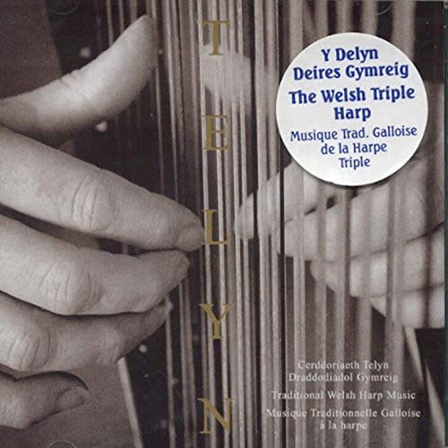 Play Telyn by Llio Rhydderch on Amazon Music