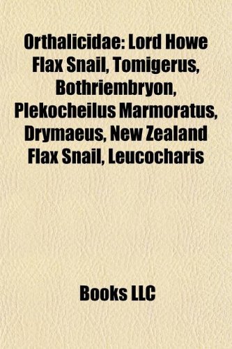 Orthalicidae Introduction: Lord Howe Flax Snail, Tomigerus ...