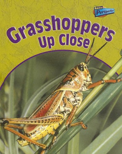 Grasshoppers Up Close (Perspectives): Pyers, Greg: 9781410915290 ...