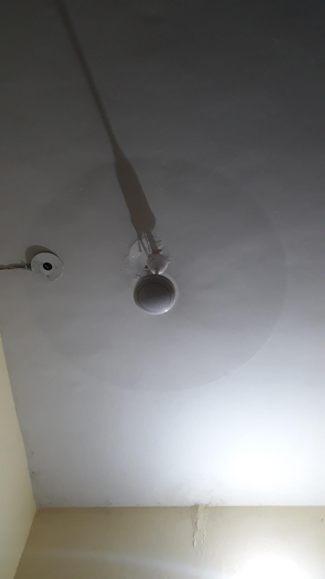 Buy Halonix Plasma BLDC 1200mm 32W Remote Controlled Ceiling Fan (White ...