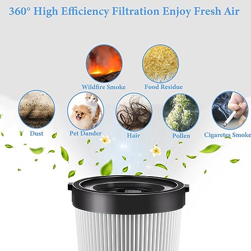Snapklik.com : Vacuum HEPA Filter Replacement For Fabuletta FSV101/FSV001