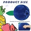 Amazon.com: Beeveer Decorative Cute Blueberry Plush Pillow Kawaii Fruit ...