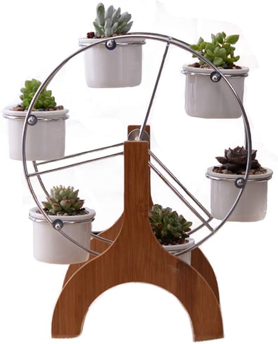 Amazon.com : Youfui Succulent Planter Set Indoor Plant Pot Ferris Wheel ...
