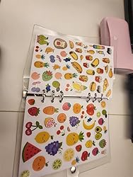 Amazon.com: Sticker Collecting Album Reusable Sticker Book Blank 40 ...