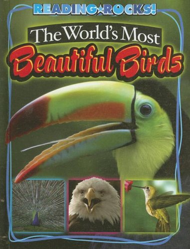 The World's Most Beautiful Birds: Buckley, Annie: 9781592968640: Books ...