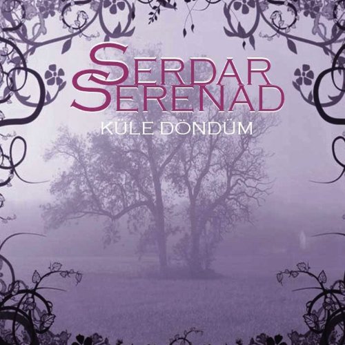 Amazon.co.jp: Küle Döndüm : Serdar Serenad: デジタルミュージック