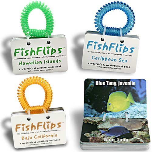 Amazon.com : Fish Flips - Hawaiian Islands : Office Products : Sports ...