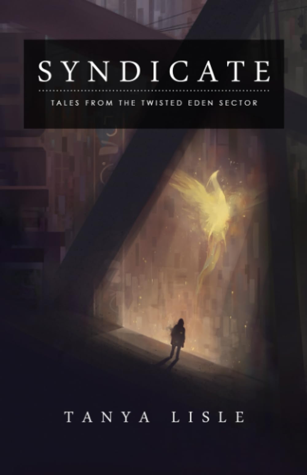 Amazon.com: Syndicate: 9780991884650: Lisle, Tanya: Books