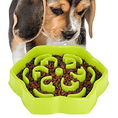 Revolutionize Your Dog's Mealtime! Top 10 Slow Eating Dog Food Bowls ...